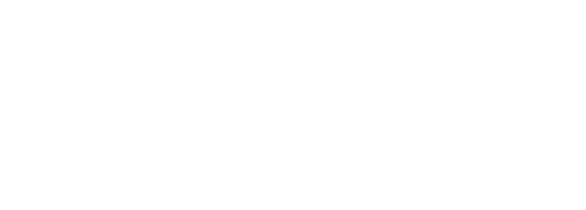 Soul Body Connection logo